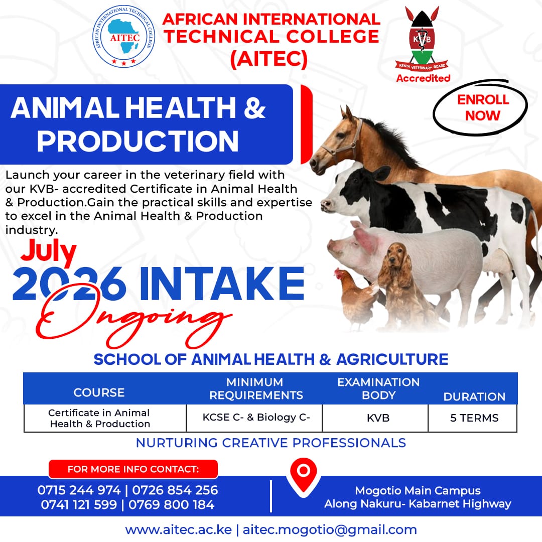 AITEC - African International Technical College